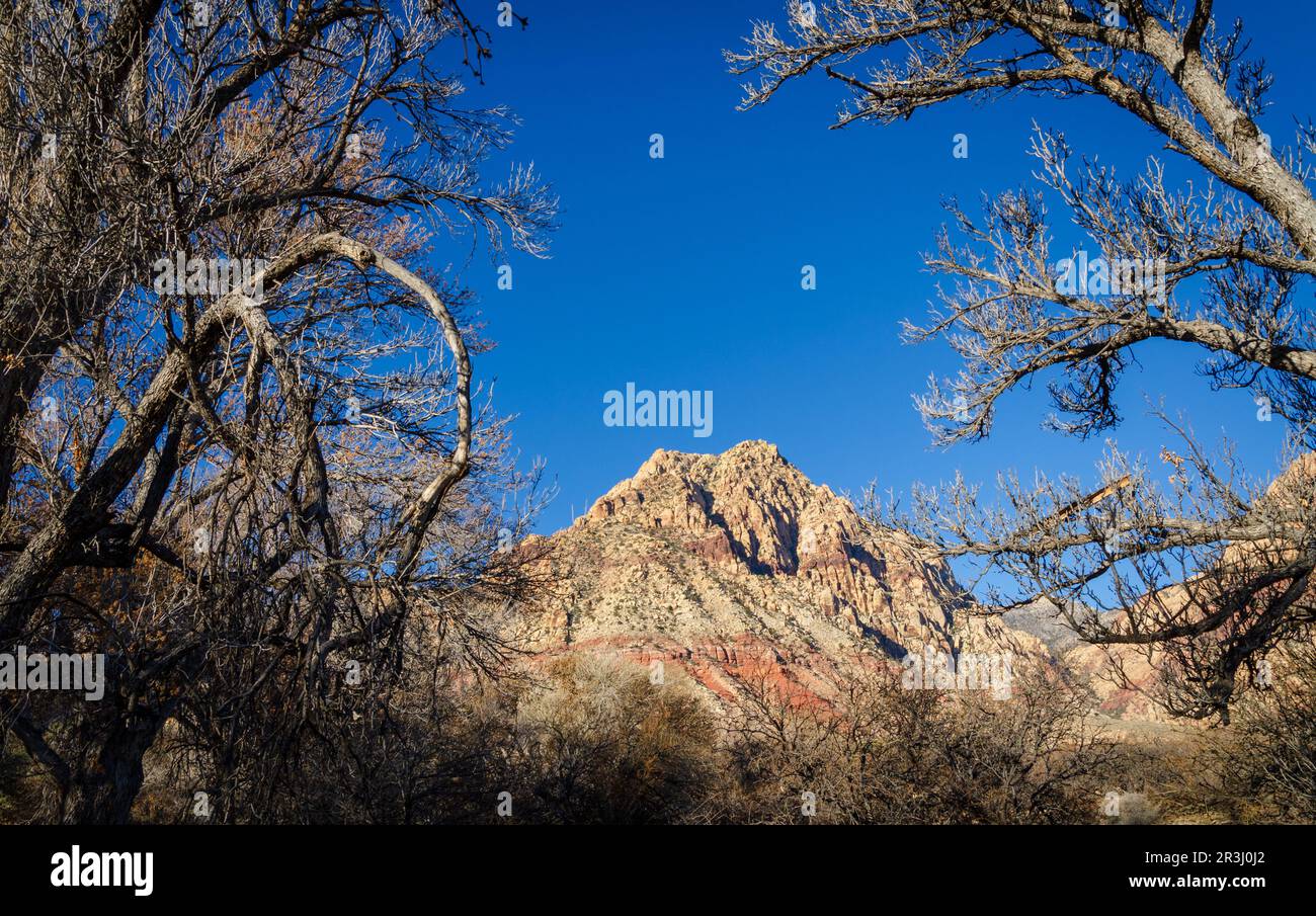 Spring Mountain Ranch State Park in Nevada Stock Photo - Alamy