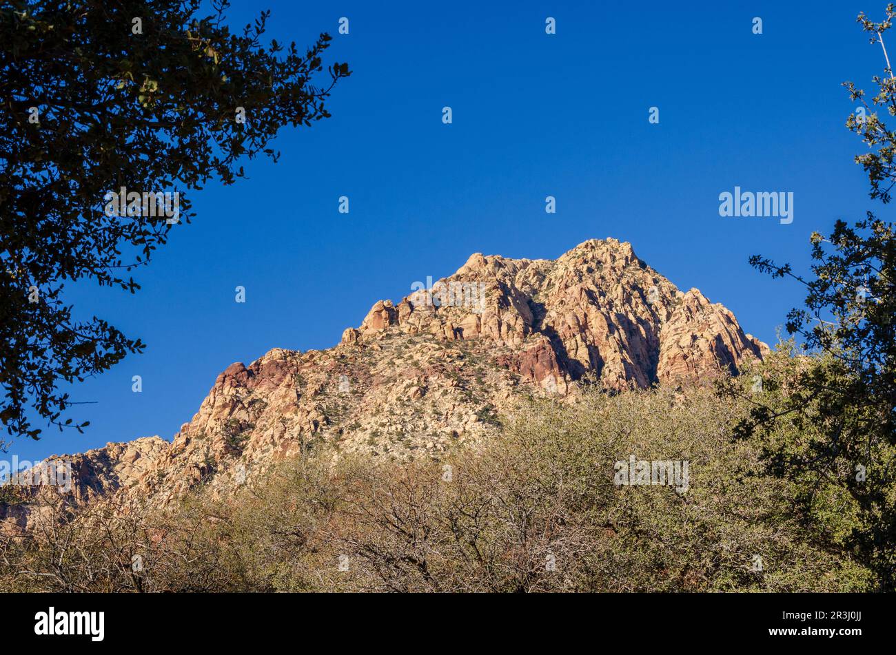 Spring Mountain Ranch State Park in Nevada Stock Photo - Alamy