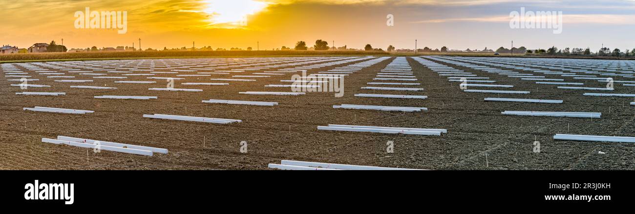 Geometric designs of support poles in farmlands Stock Photo - Alamy