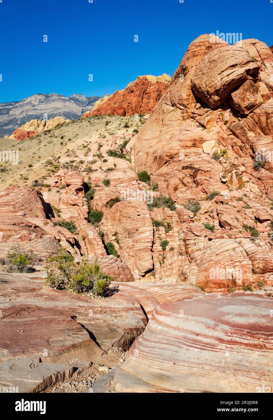 Red Rock Canyon National Conservation Area National reserve in Nevada ...