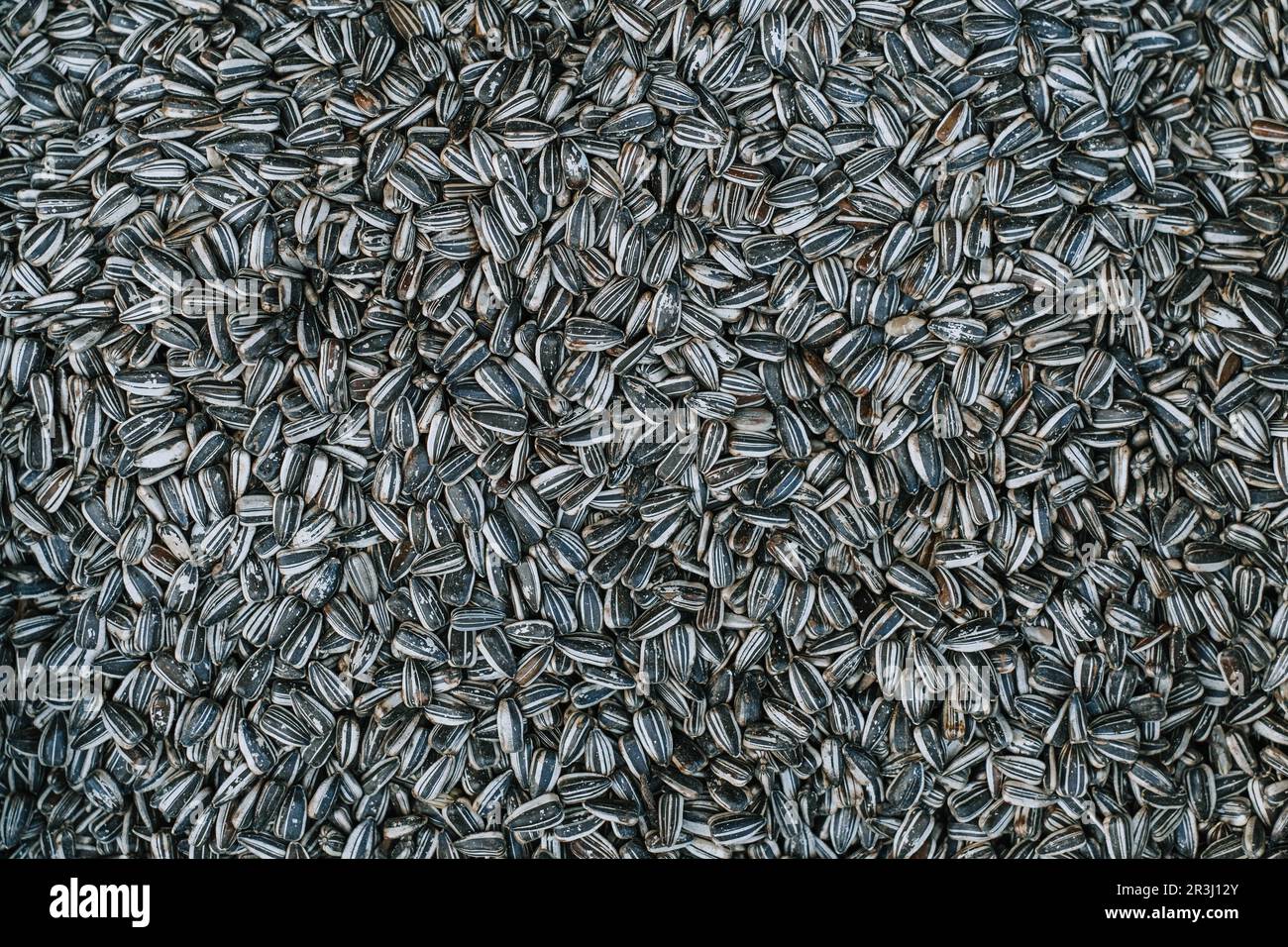 Flat lay or top view of a pile of raw Sunflower Seeds Stock Photo - Alamy