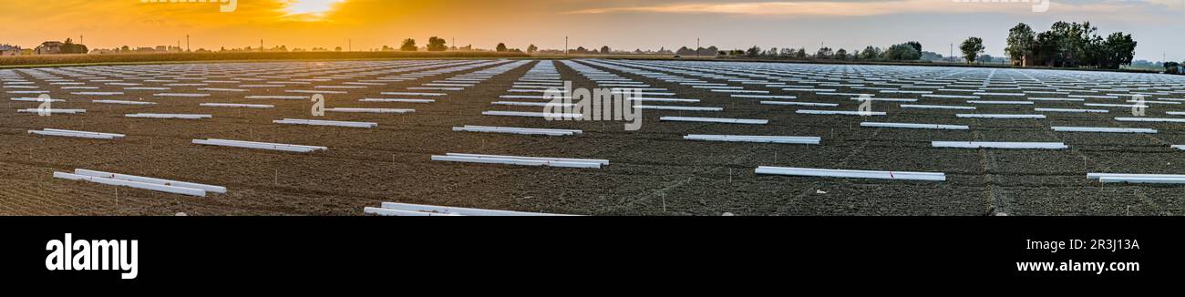 Geometric designs of support poles in farmlands Stock Photo - Alamy