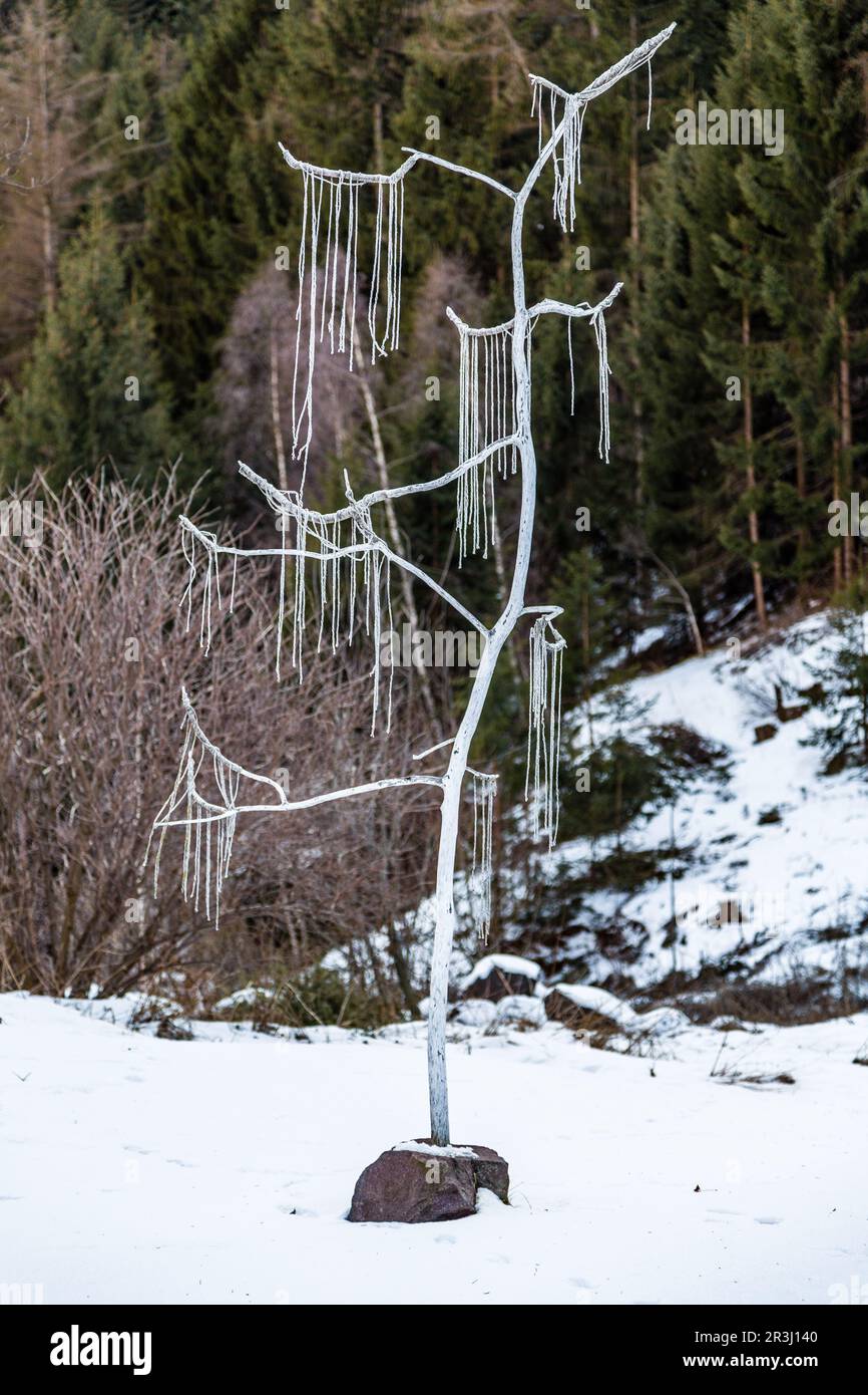 White frozen hi-res stock photography and images - Alamy