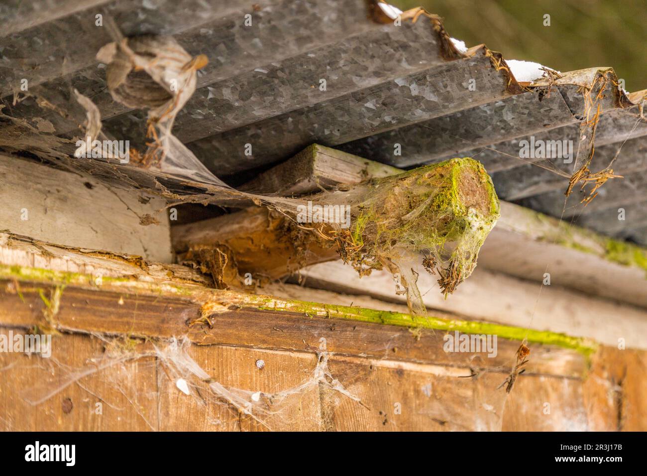 Dust detail hi-res stock photography and images - Alamy