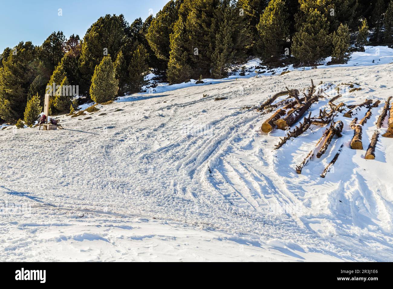 Tree logs in ice hi-res stock photography and images - Alamy