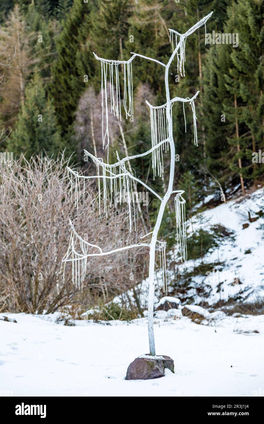 White frozen tree Stock Photo - Alamy