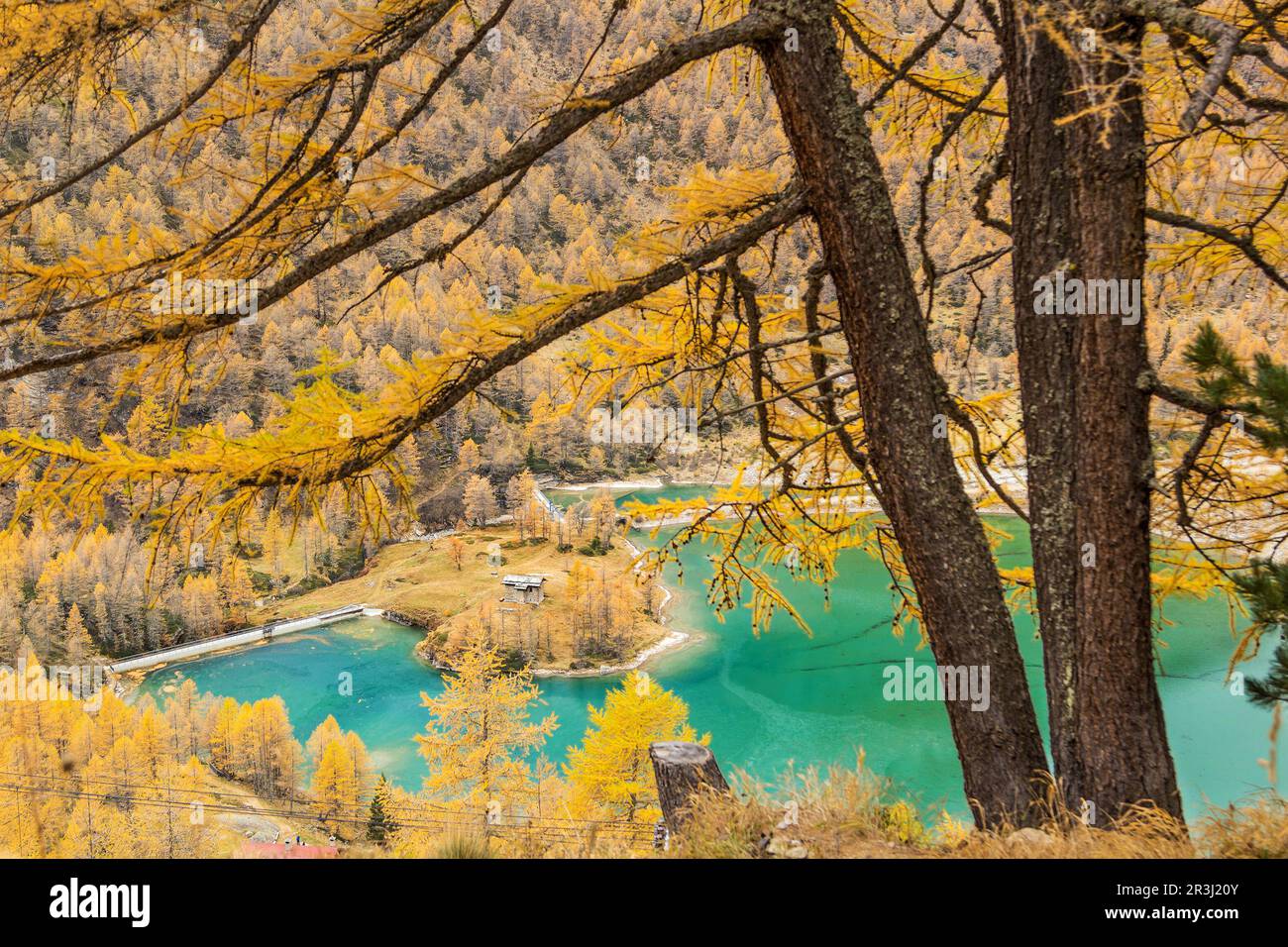 Lake Palu below Piz Palu glacier in Swiss Alps in colorful autumn day ...