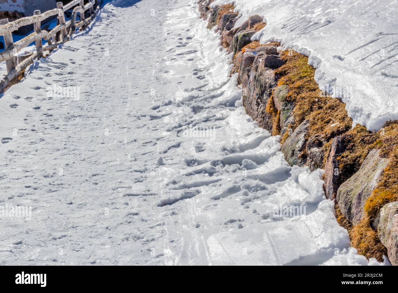 Tracks and footprints in the snow on path Stock Photo - Alamy