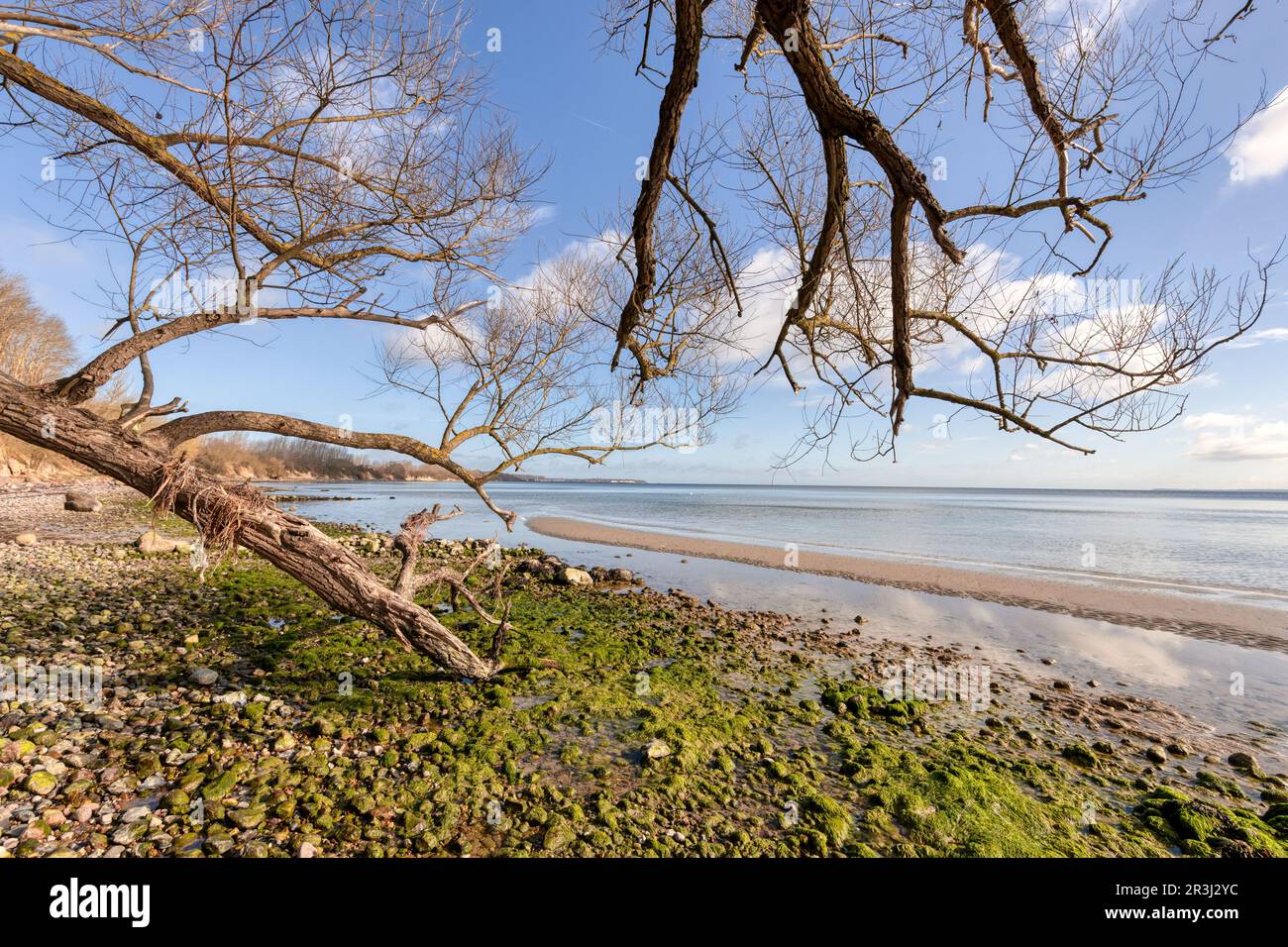 German Baltic coast in spring Stock Photo - Alamy
