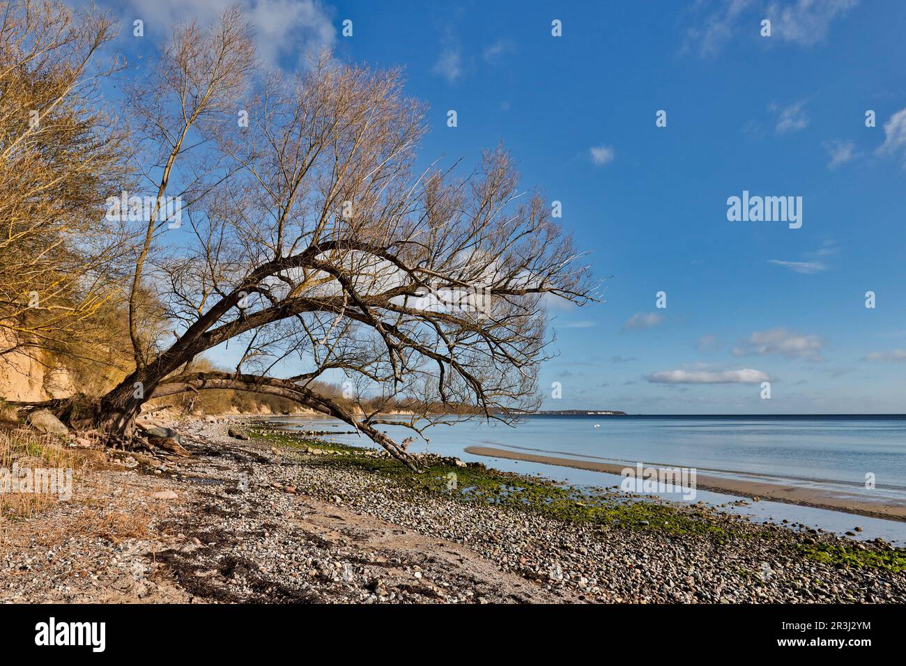 German Baltic coast in spring Stock Photo - Alamy