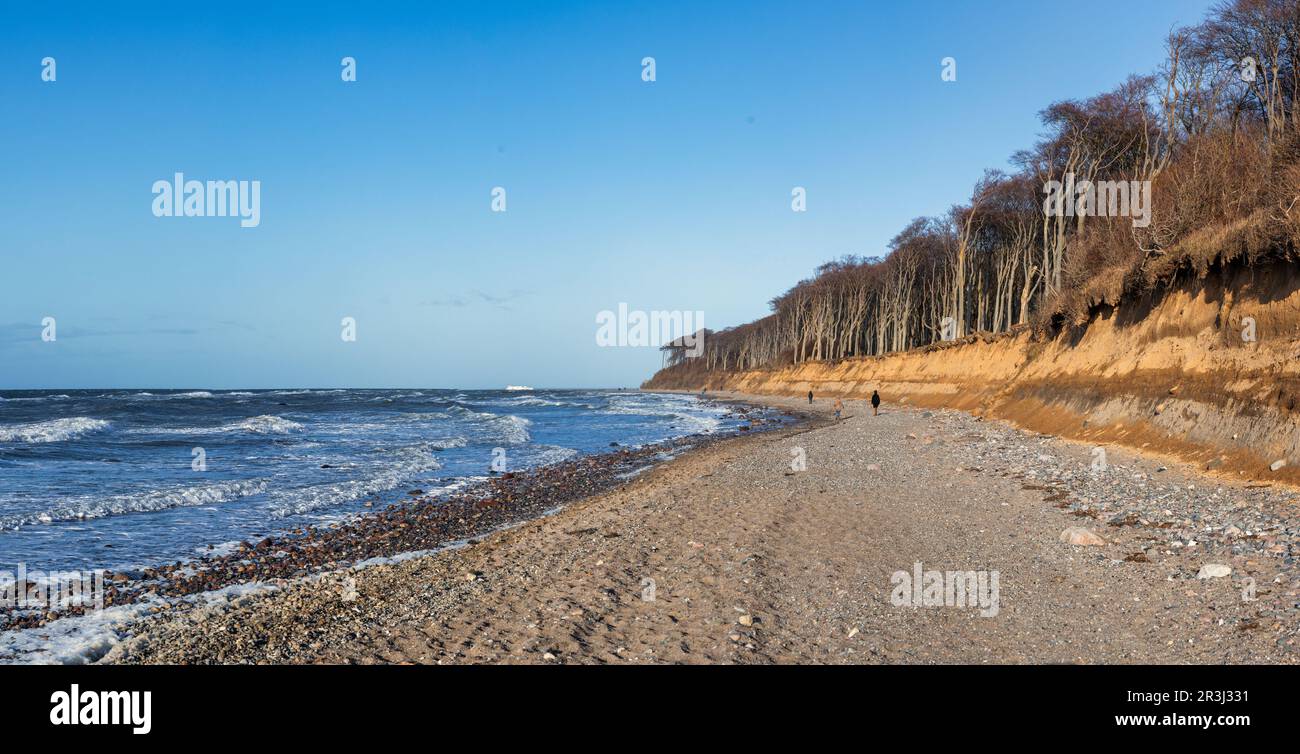 Panorama cliffs Baltic Sea Nienhagen Stock Photo - Alamy