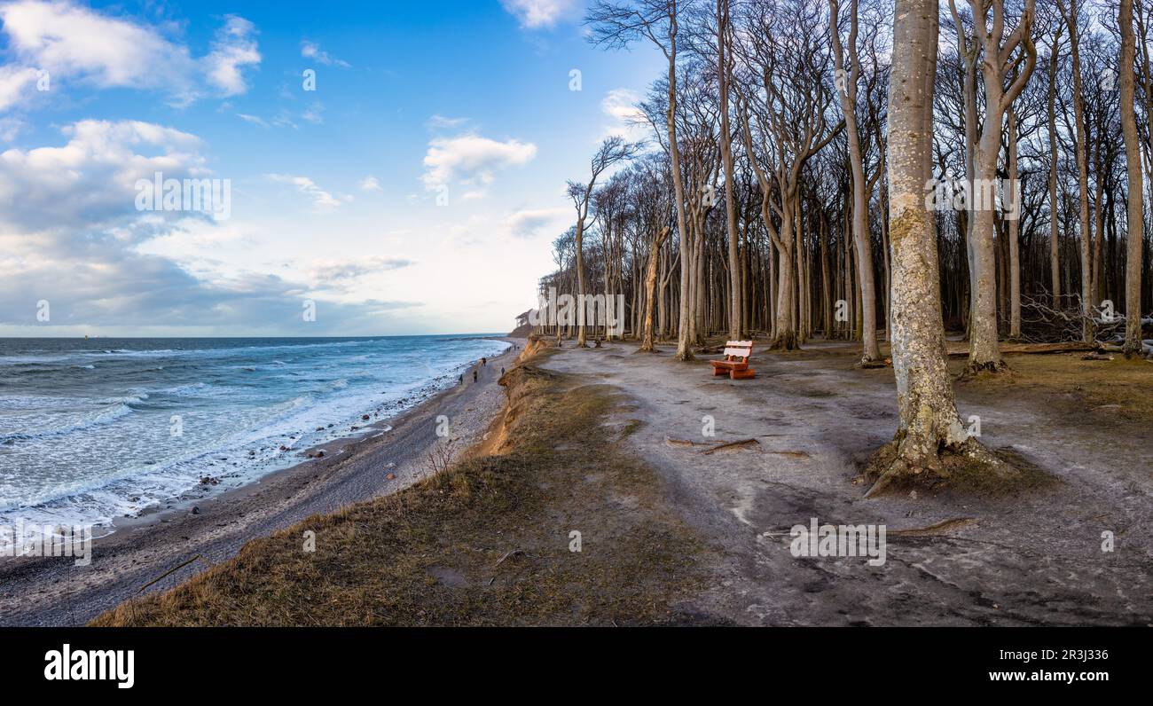 Panorama cliffs Baltic Sea Nienhagen Stock Photo - Alamy
