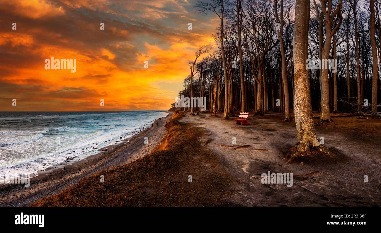 Panorama cliffs Baltic Sea Nienhagen Stock Photo - Alamy