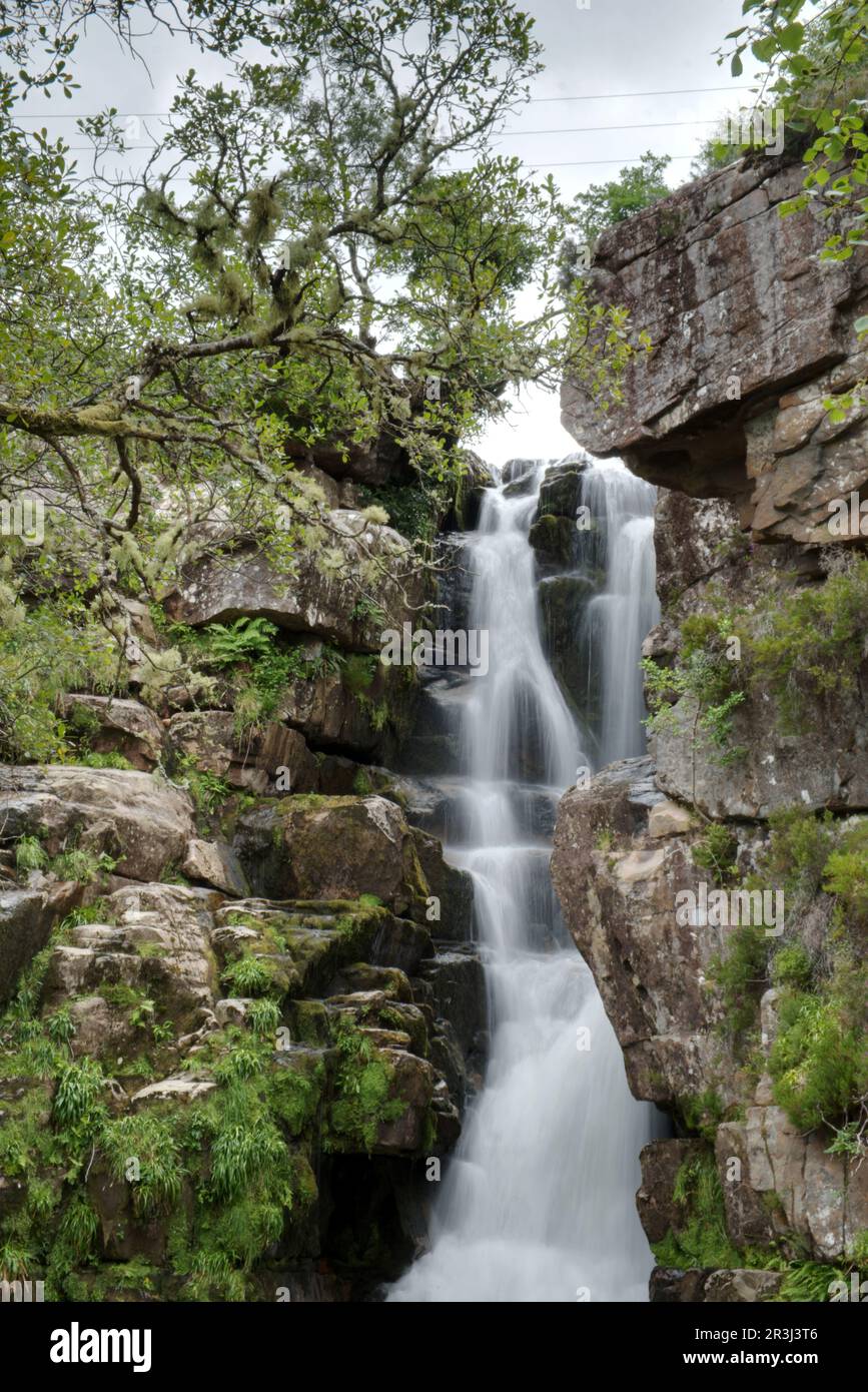 Garve, Ardessie Falls, Scotland, Highland, Great Britain Stock Photo ...