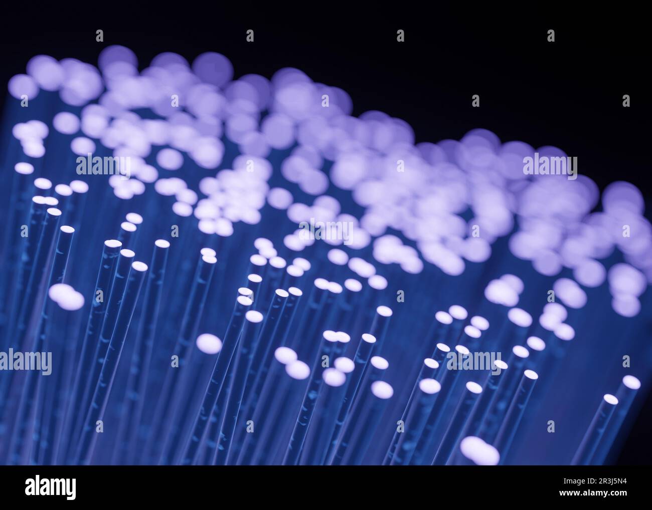 Fibre optic for data transfer transmission Stock Photo - Alamy