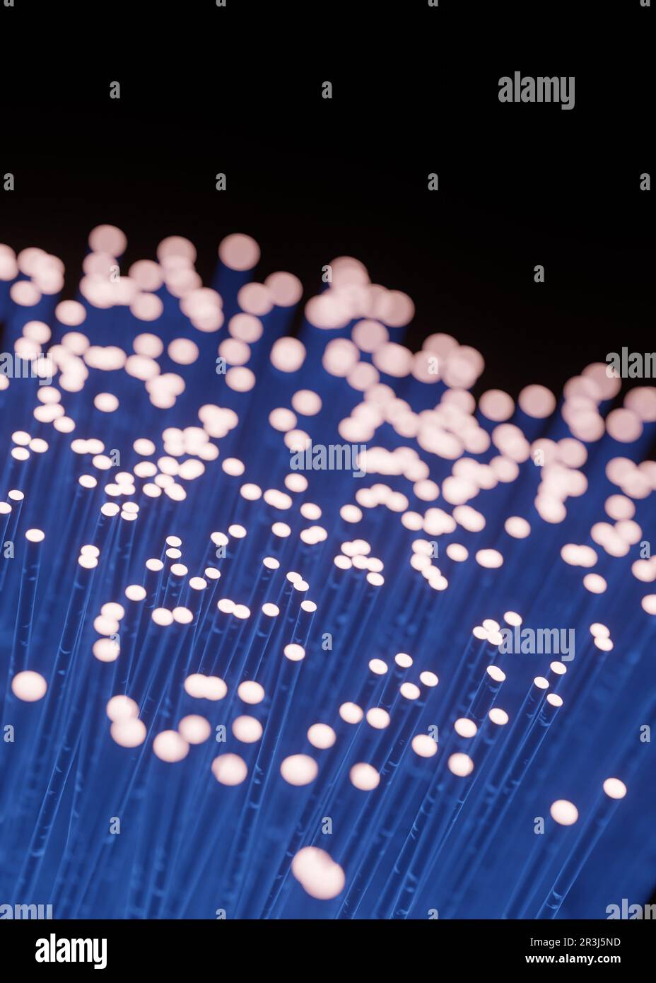 Fibre optic for data transfer transmission Stock Photo - Alamy