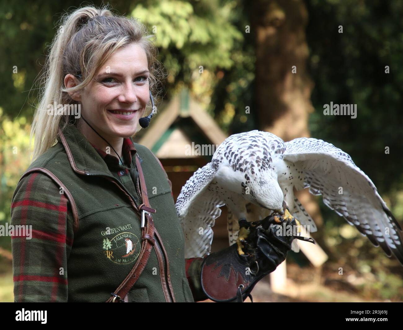 Falconer Lisa Schubach with a bird of prey in the Greifenwarte falconry ...