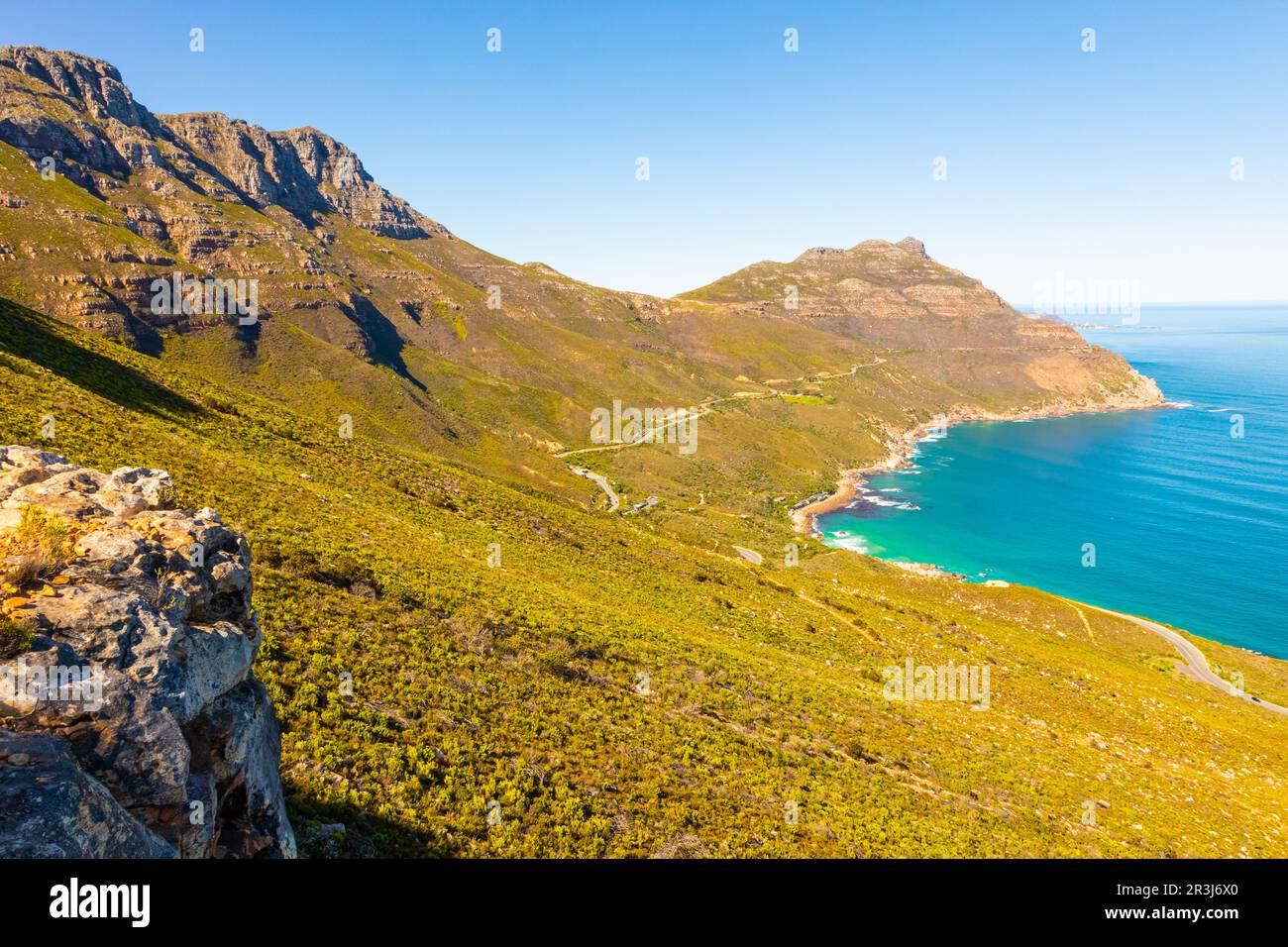 Chapmanâ€™s Peak Coastal mountain landscape with fynbos flora in Cape ...