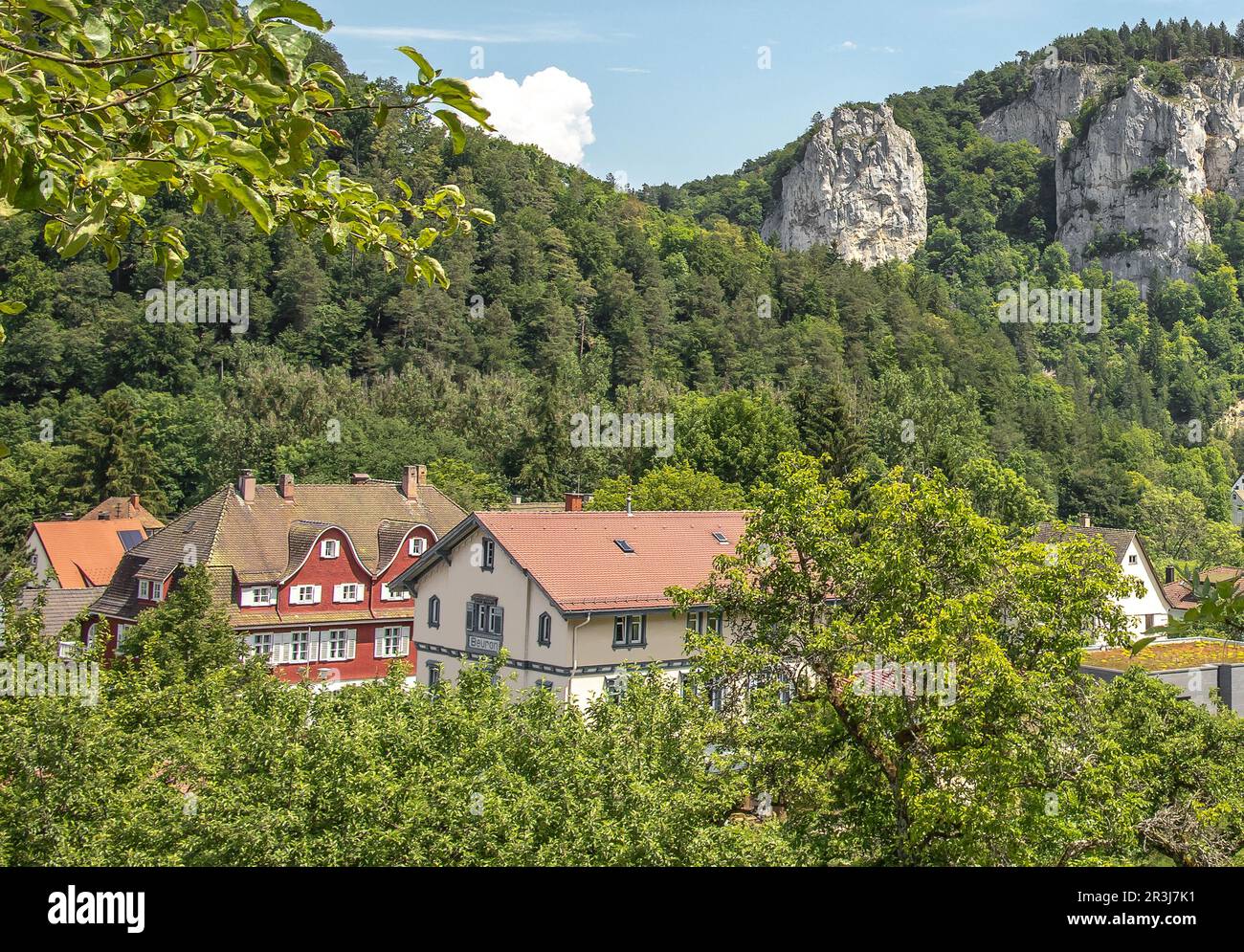 Beuron in the Danube valley with former post station and the railroad ...