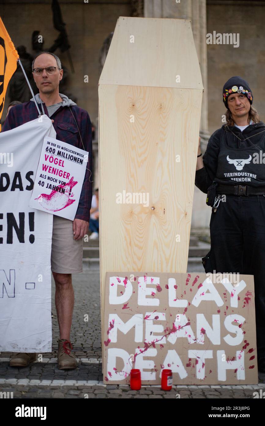 in Munich, Germany. , . to draw attention on the mass extinction of ...