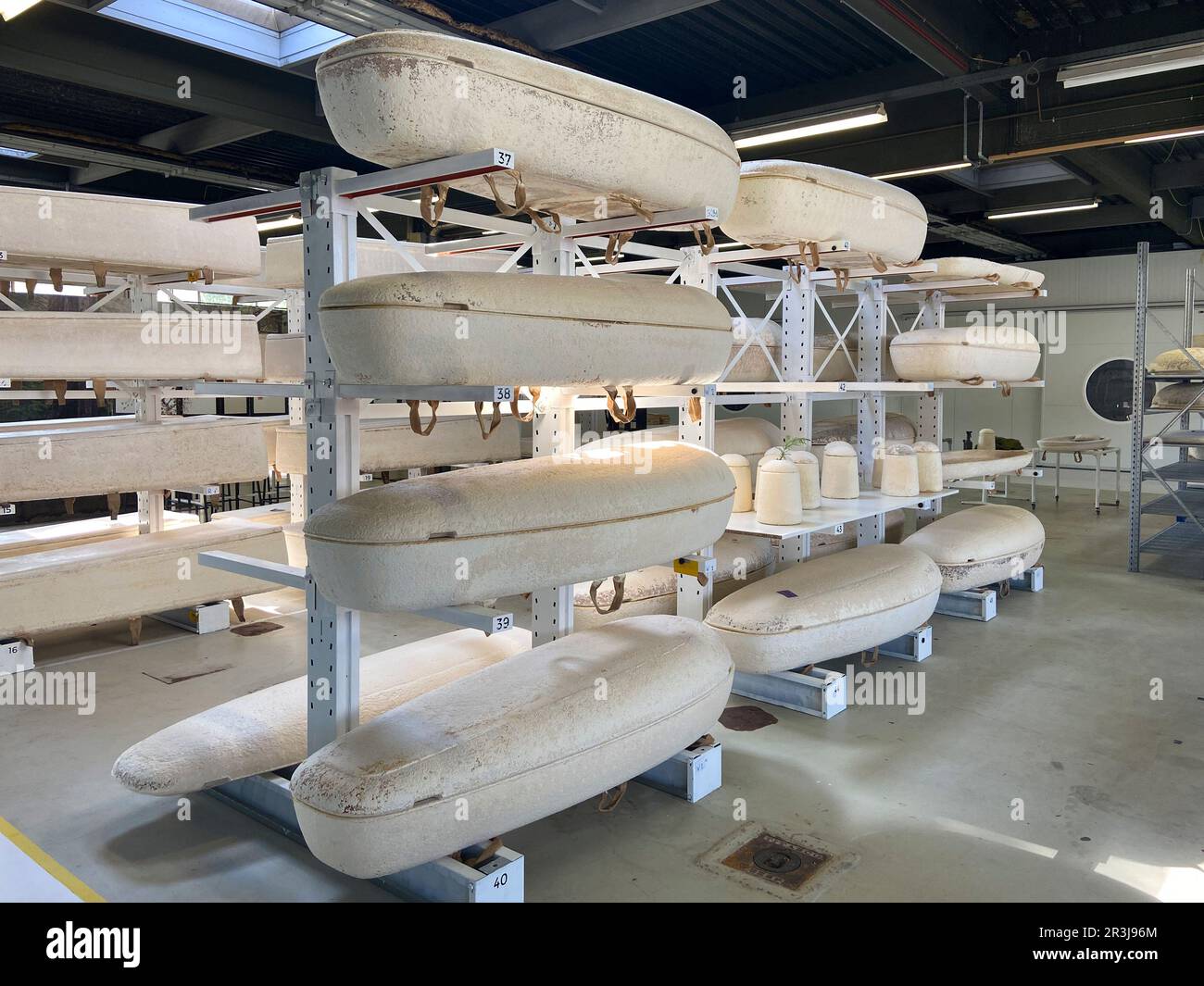 Dutch startup Loop Biotech's cocoon-like coffins, grown from local ...