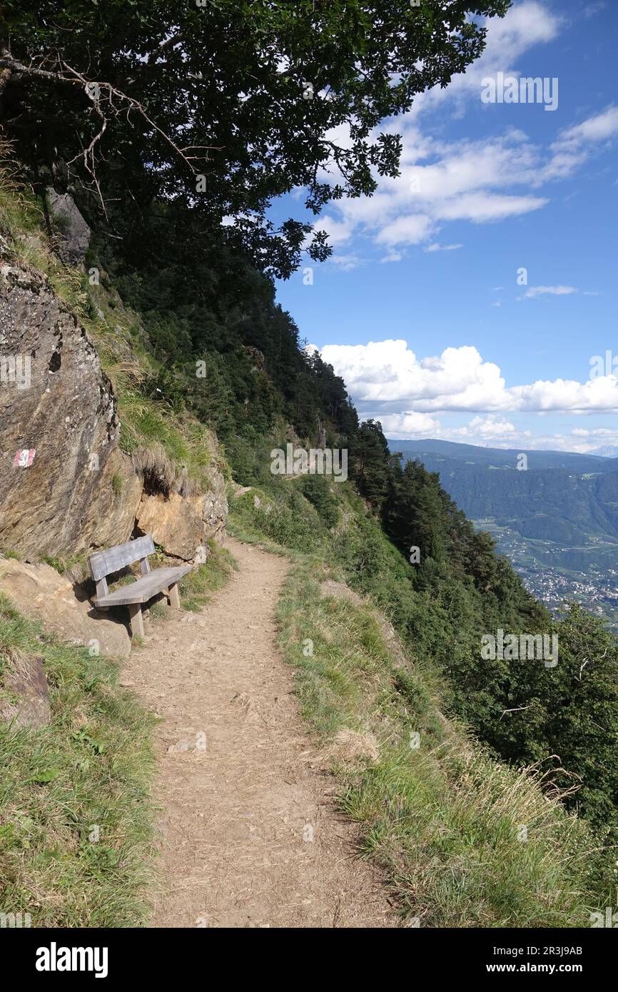 Bench on the Vellau rock path Stock Photo - Alamy