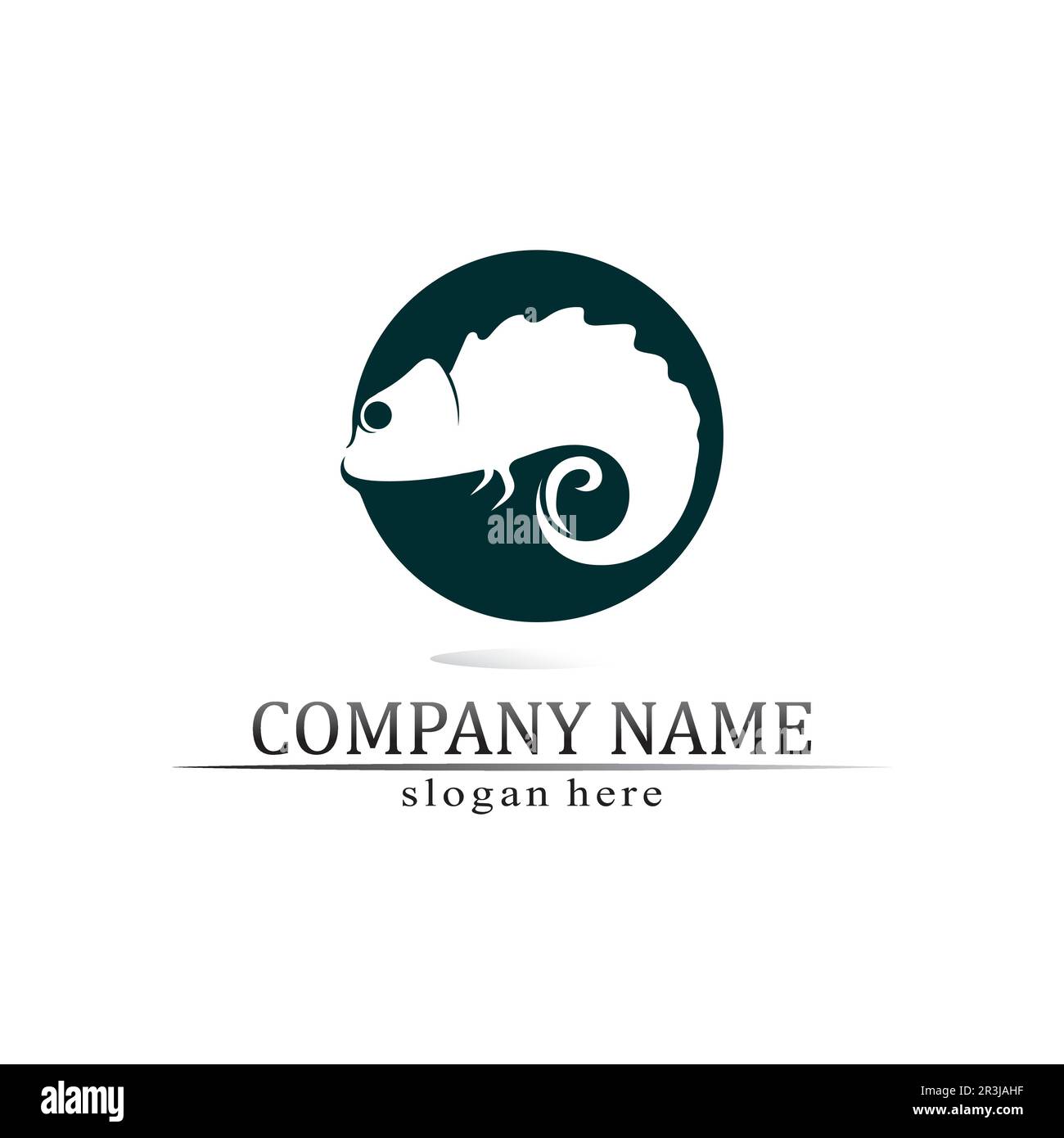 animal vector lizard salamander gecko crocodile and reptiles design ...