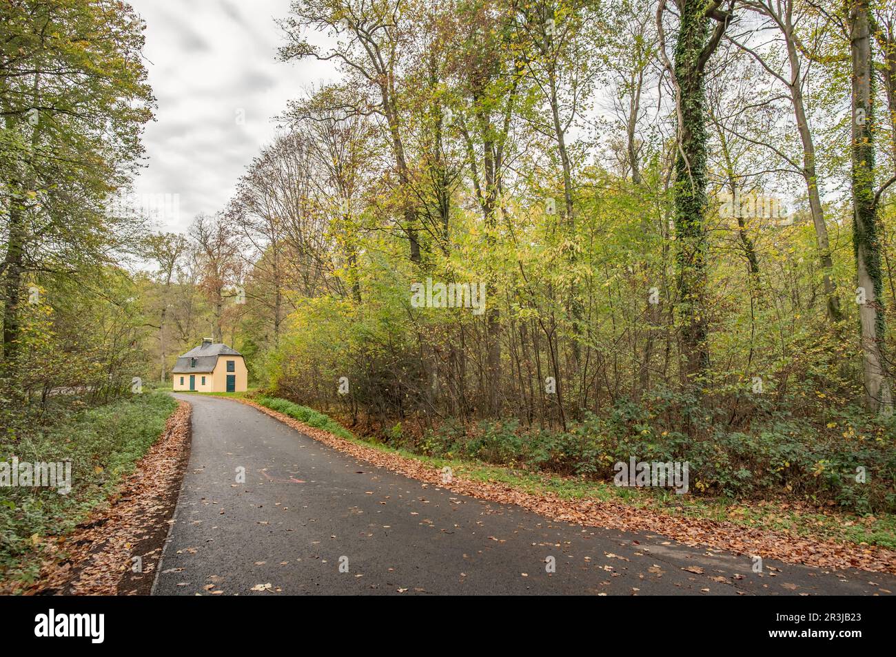Cottage leaves hi-res stock photography and images - Alamy