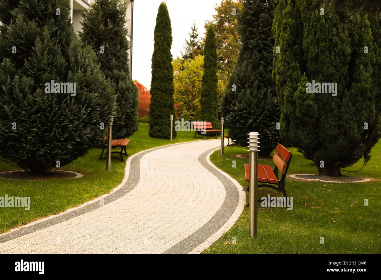 Winding pathway with beautiful bushes and benches in park Stock Photo ...