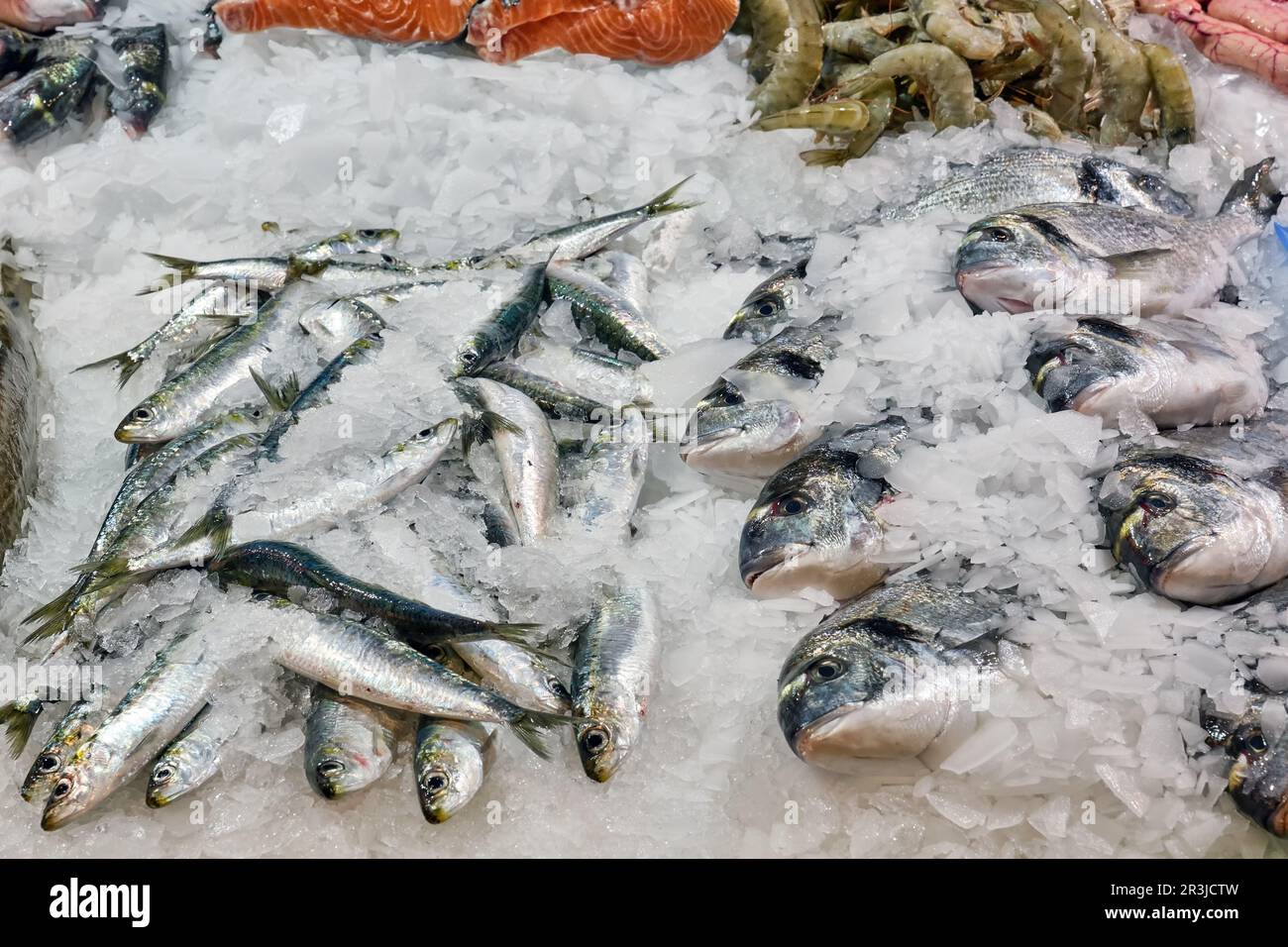 Catch of fish for sale at a market in Barcelona, Spain Stock Photo - Alamy