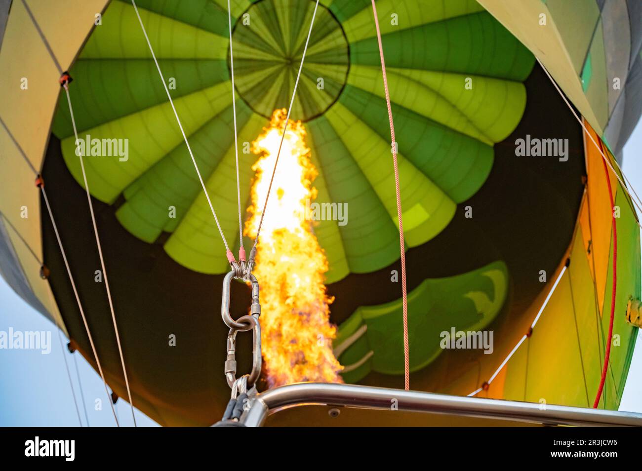 Flight nature hi-res stock photography and images - Alamy