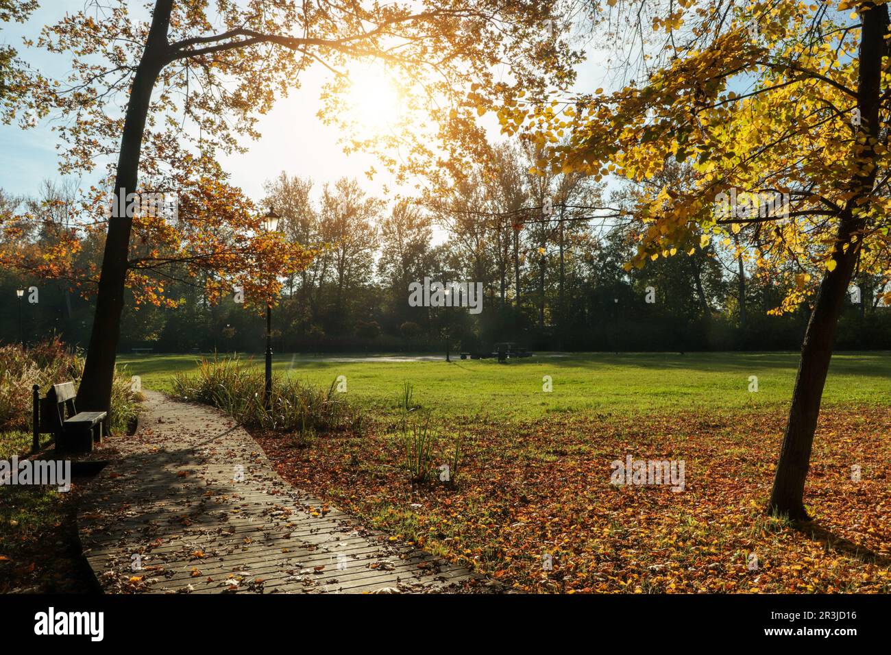 Picturesque view of park with beautiful trees, bench and pathway on ...