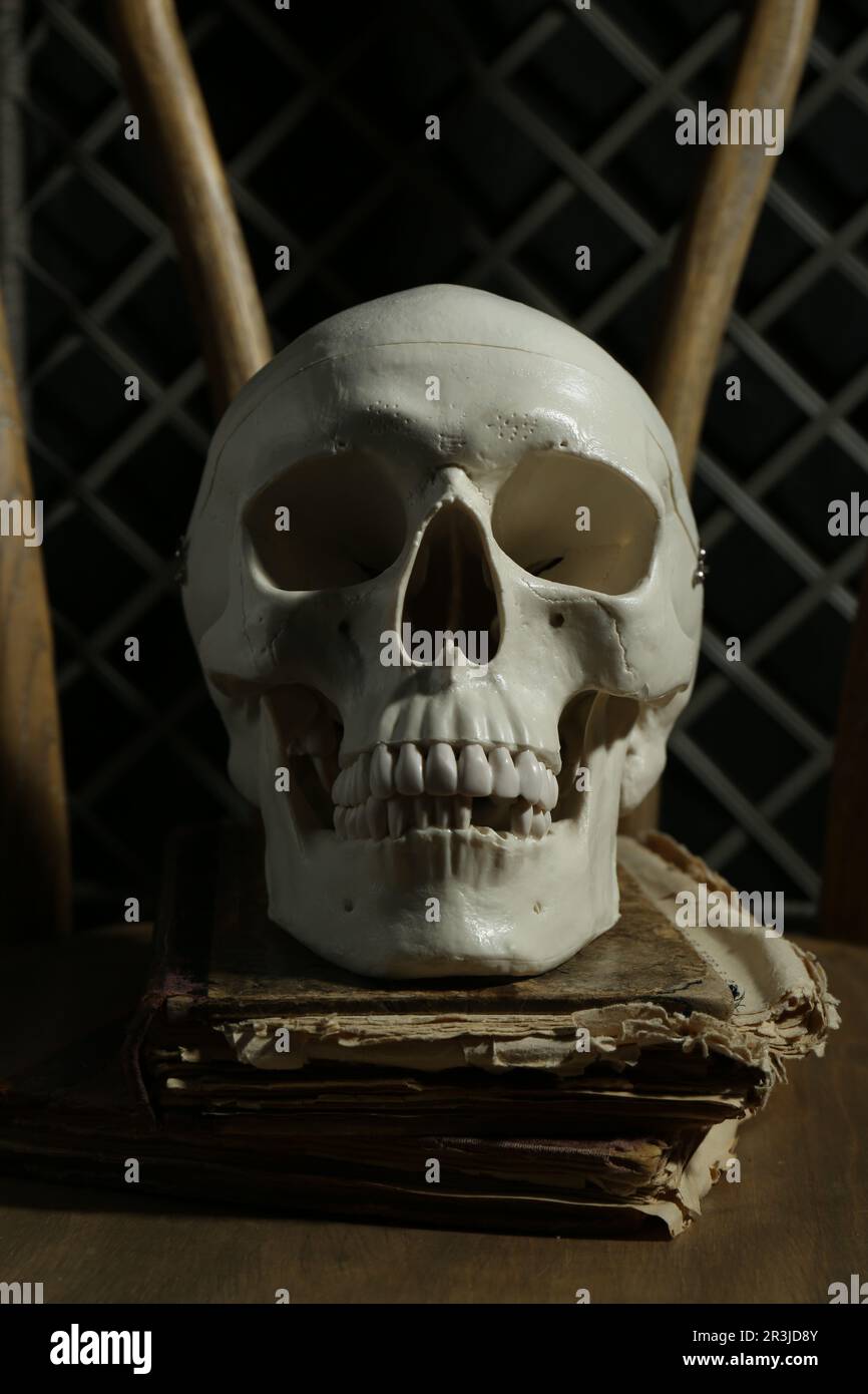 Human skull books on hi-res stock photography and images - Alamy