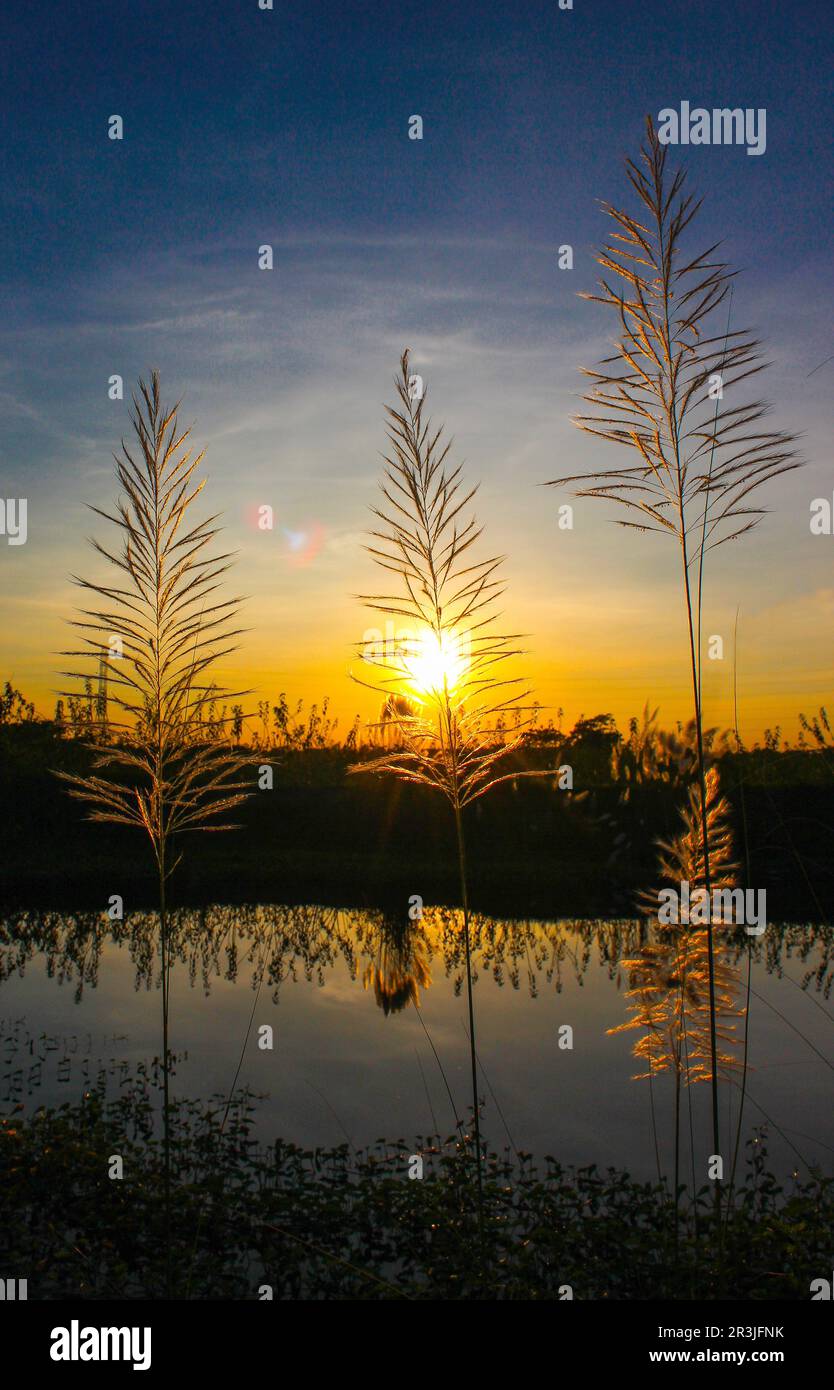 Kashful hi-res stock photography and images - Alamy