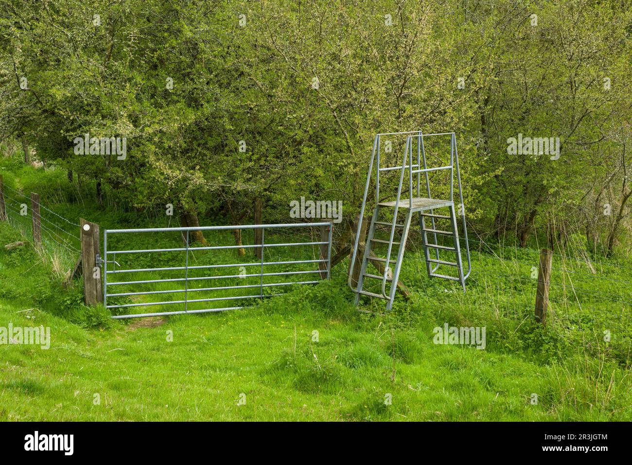A Ladder Stile over a wire fence around Clatworthy Reservoir in ...