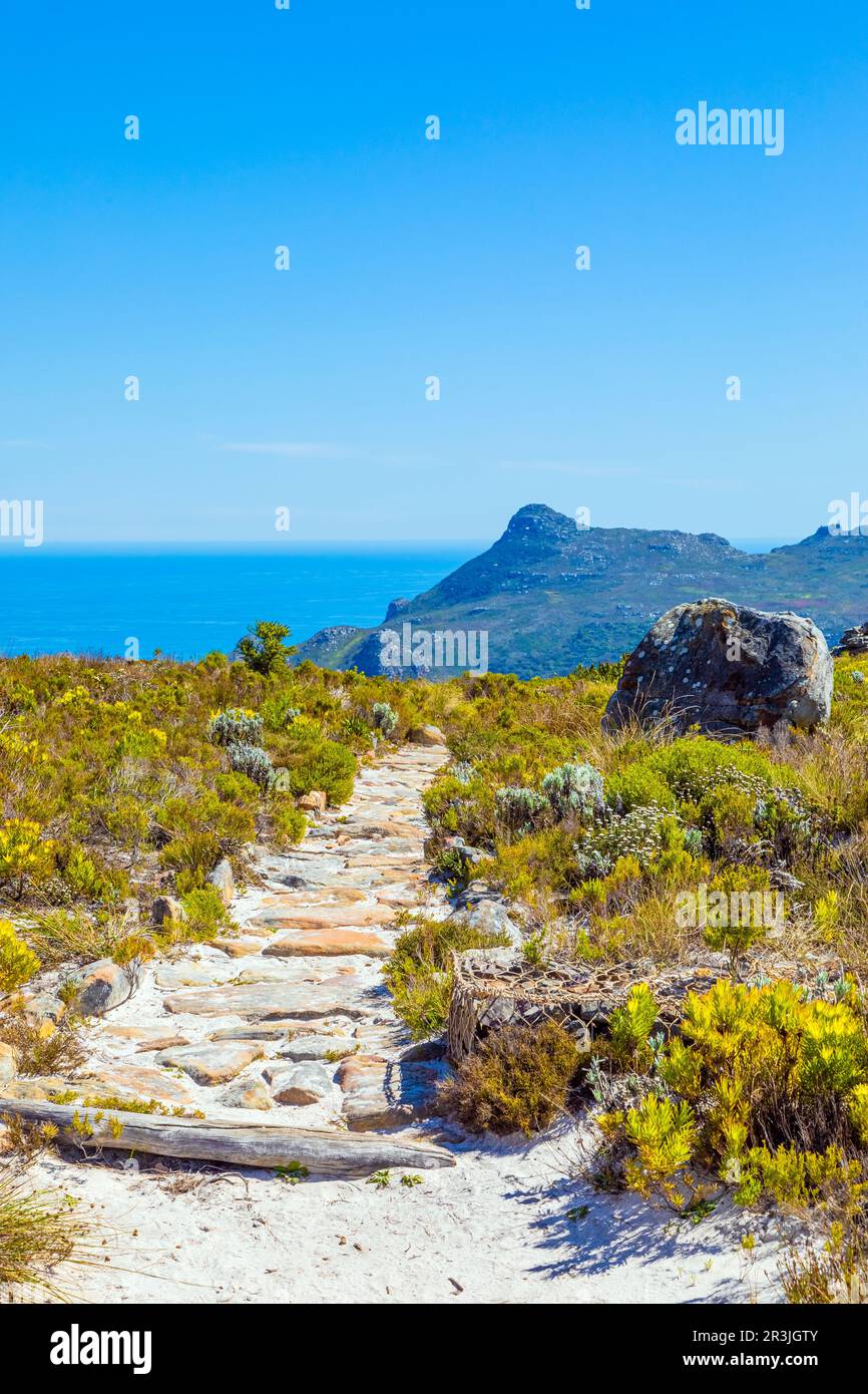African paths hi-res stock photography and images - Alamy