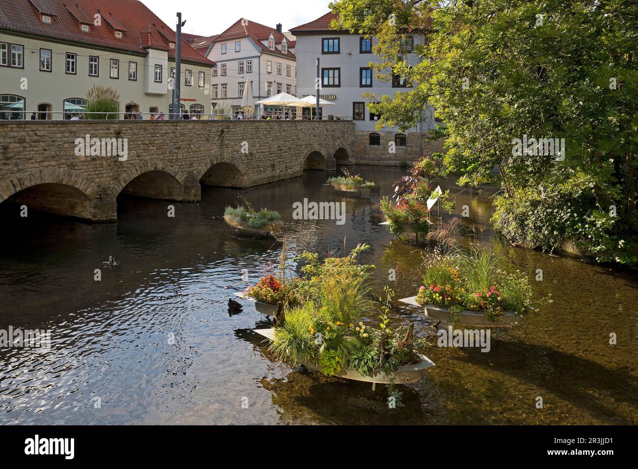 Zinc tubs in the shape of boats with flowering plants on the Gera river ...