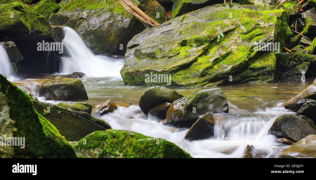 stones in the brook. countryside nature scenery in summer Stock Photo ...