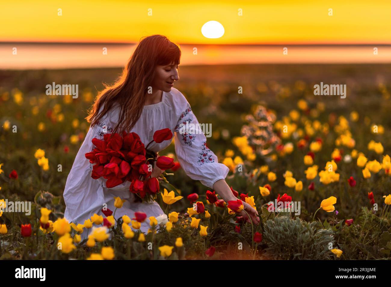 Woman field tulips sunset. Woman against sunset and wild tulip flowers ...
