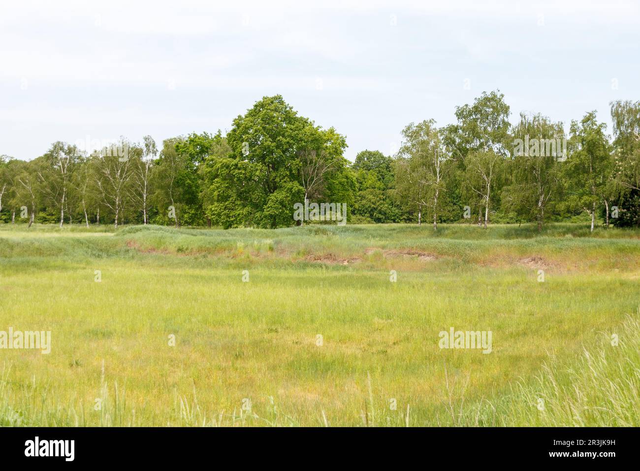 The countryside outside of Berlin in Gatow Stock Photo - Alamy