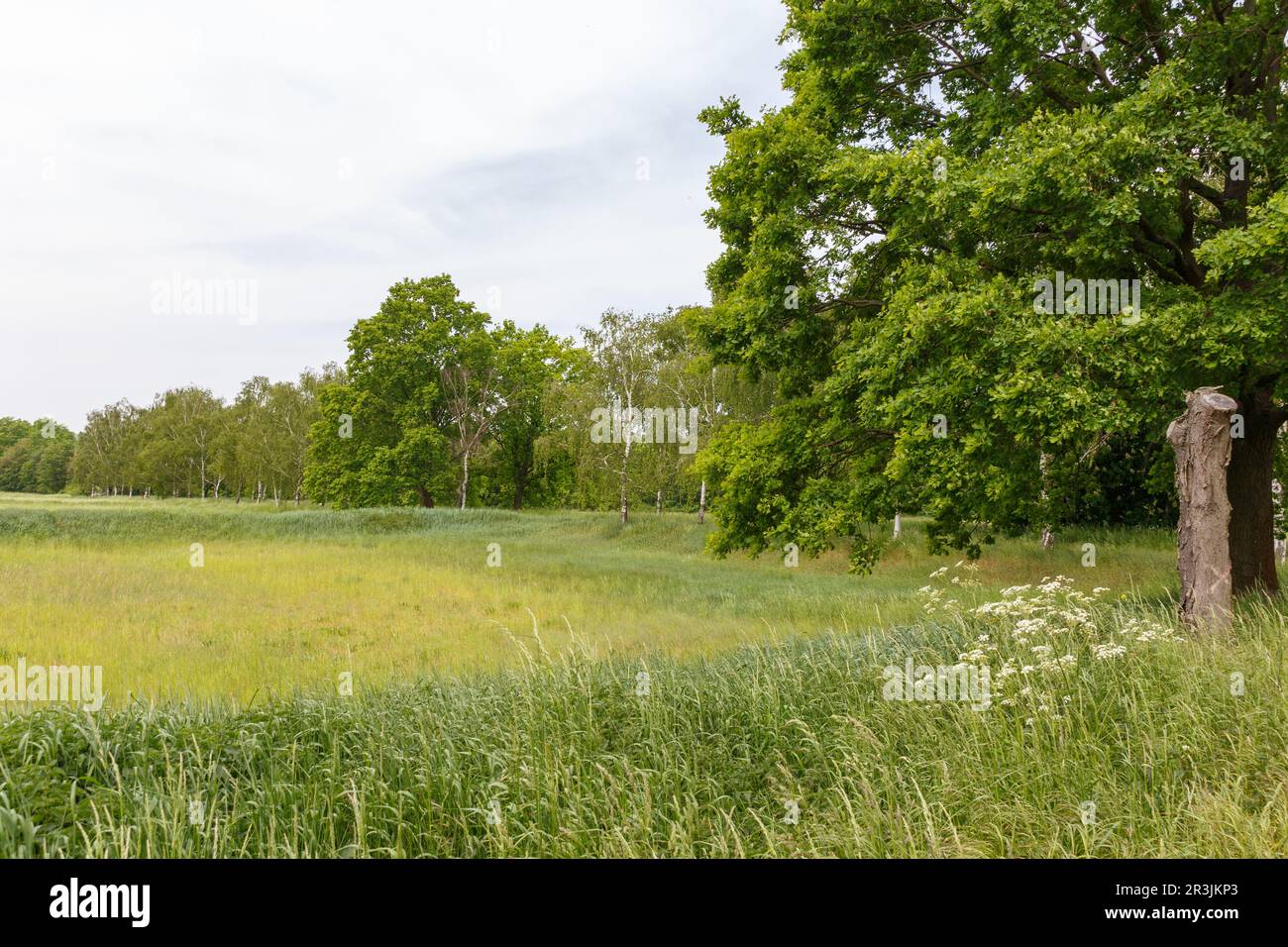 The countryside outside of Berlin in Gatow Stock Photo - Alamy