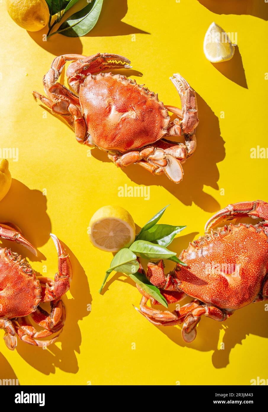 Cooked crabs on llelow background with fresh lemons. Top view, Pattern ...