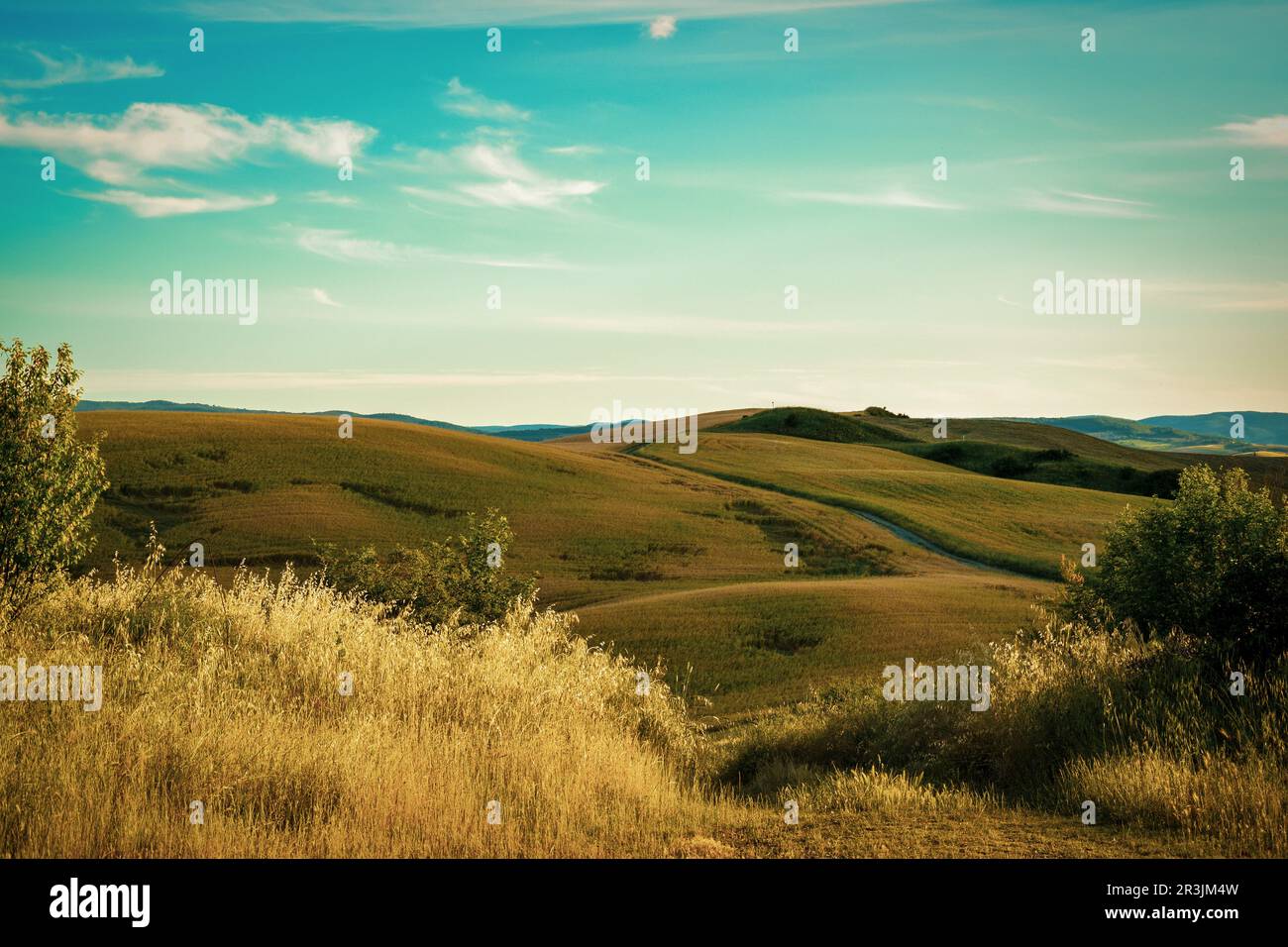 Crete Senesi Tuscan hills in summer Stock Photo - Alamy