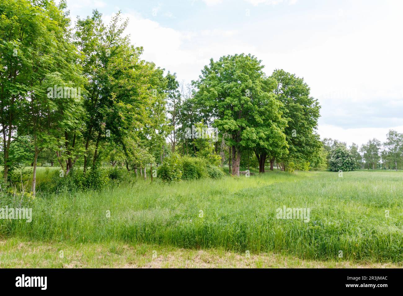 The countryside outside of Berlin in Gatow Stock Photo - Alamy