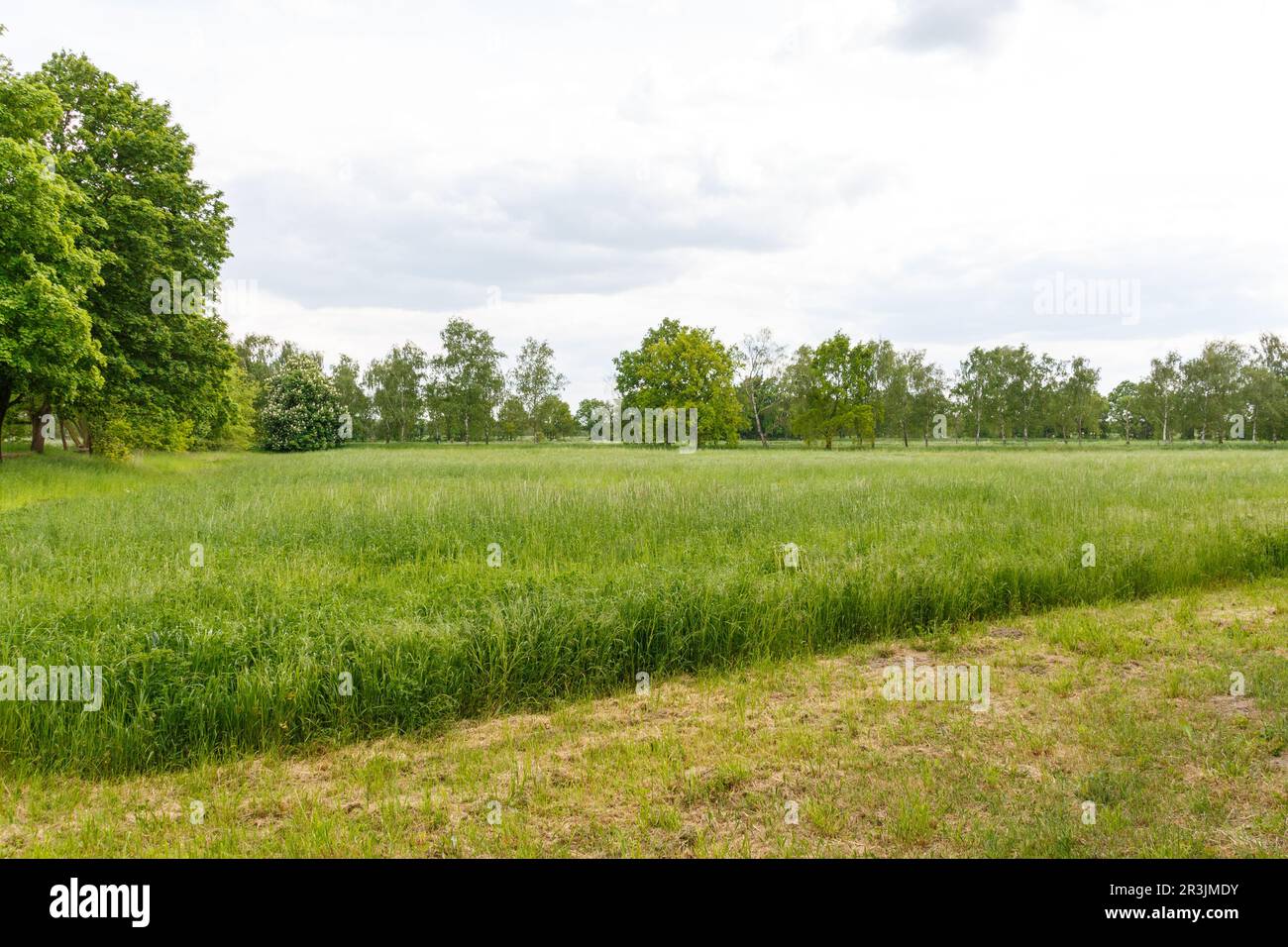 The countryside outside of Berlin in Gatow Stock Photo - Alamy