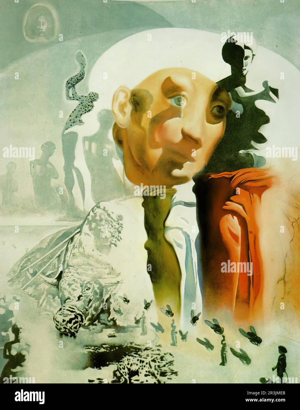 Salvador Dali - The Face Stock Photo - Alamy