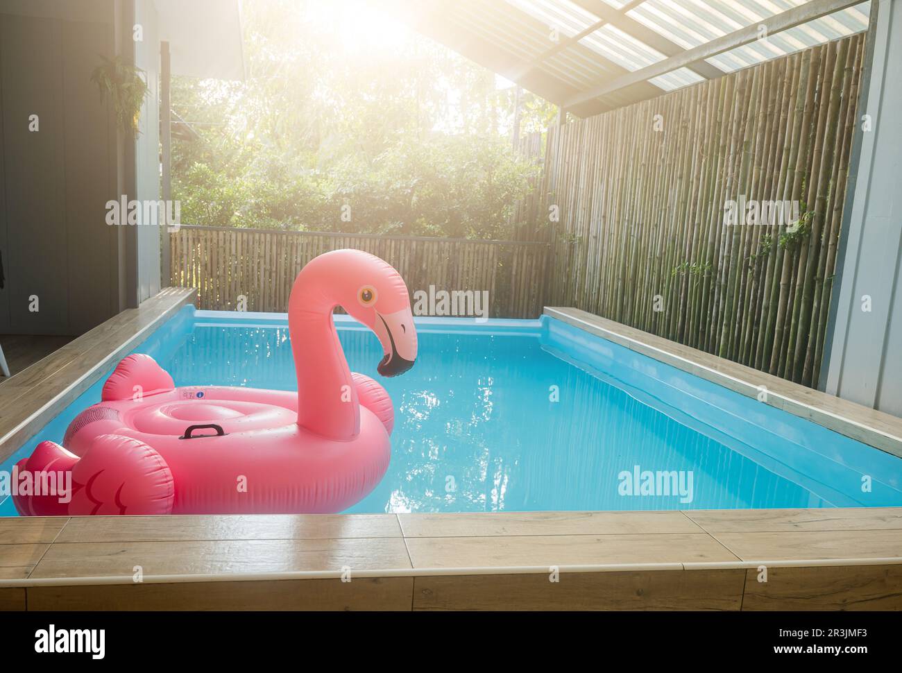 Pink inflatable ring flamingo plastic in the swimming pool blue water ...