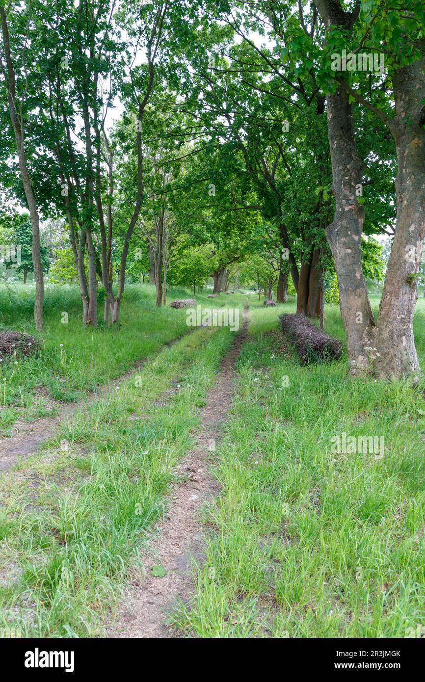 The countryside outside of Berlin in Gatow Stock Photo - Alamy