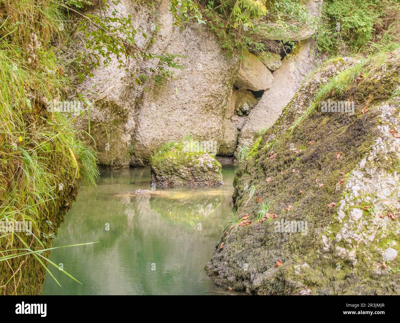 Aeuli Gorge in the Thur Valley near Lichtensteig, Canton St. Gallen ...