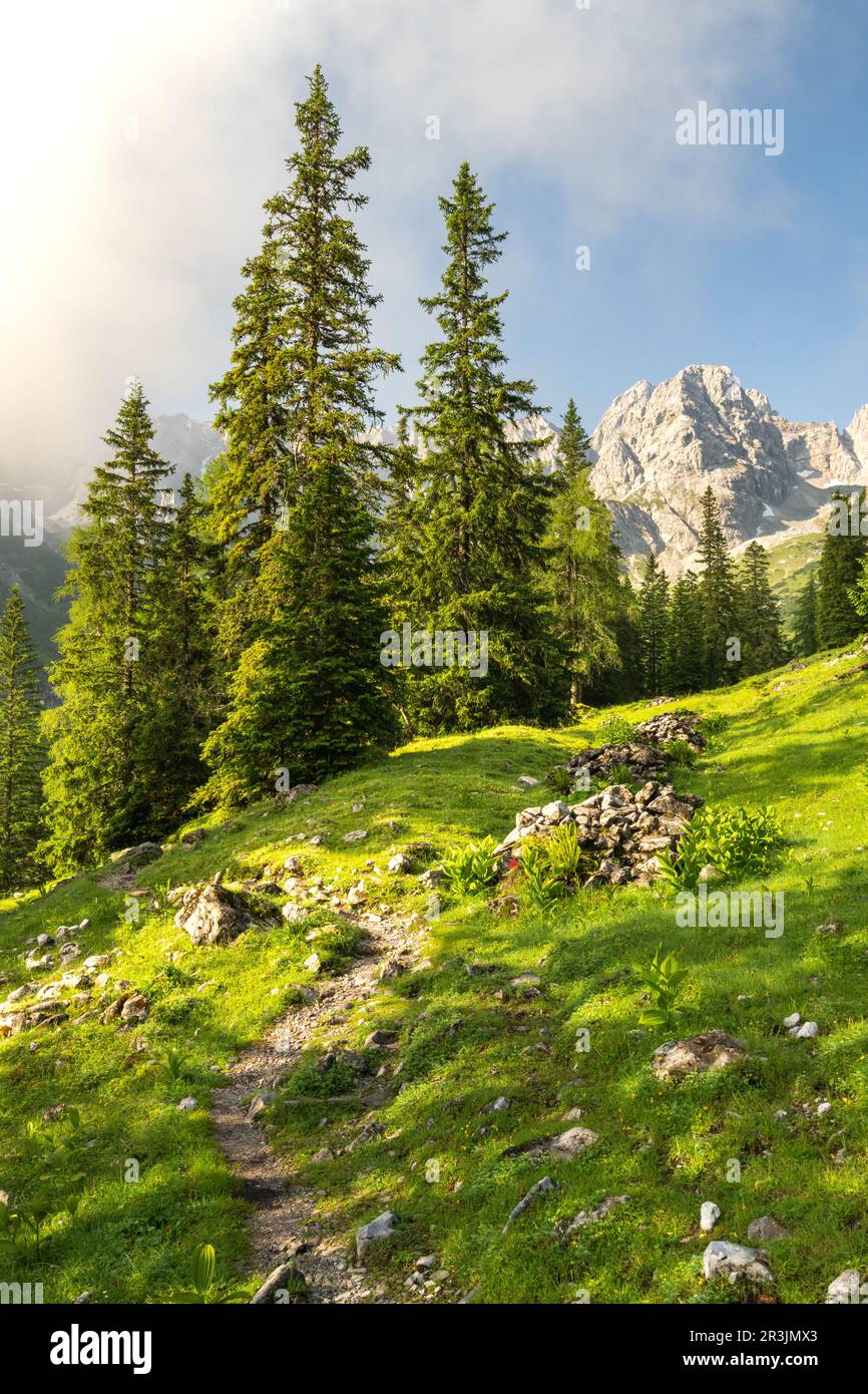 Hiking path to mountain Sonnenspitze in Tirol near Lake Seebensee and ...